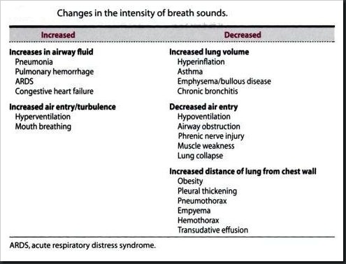 Medicine Decoded: Breath sounds made easy.